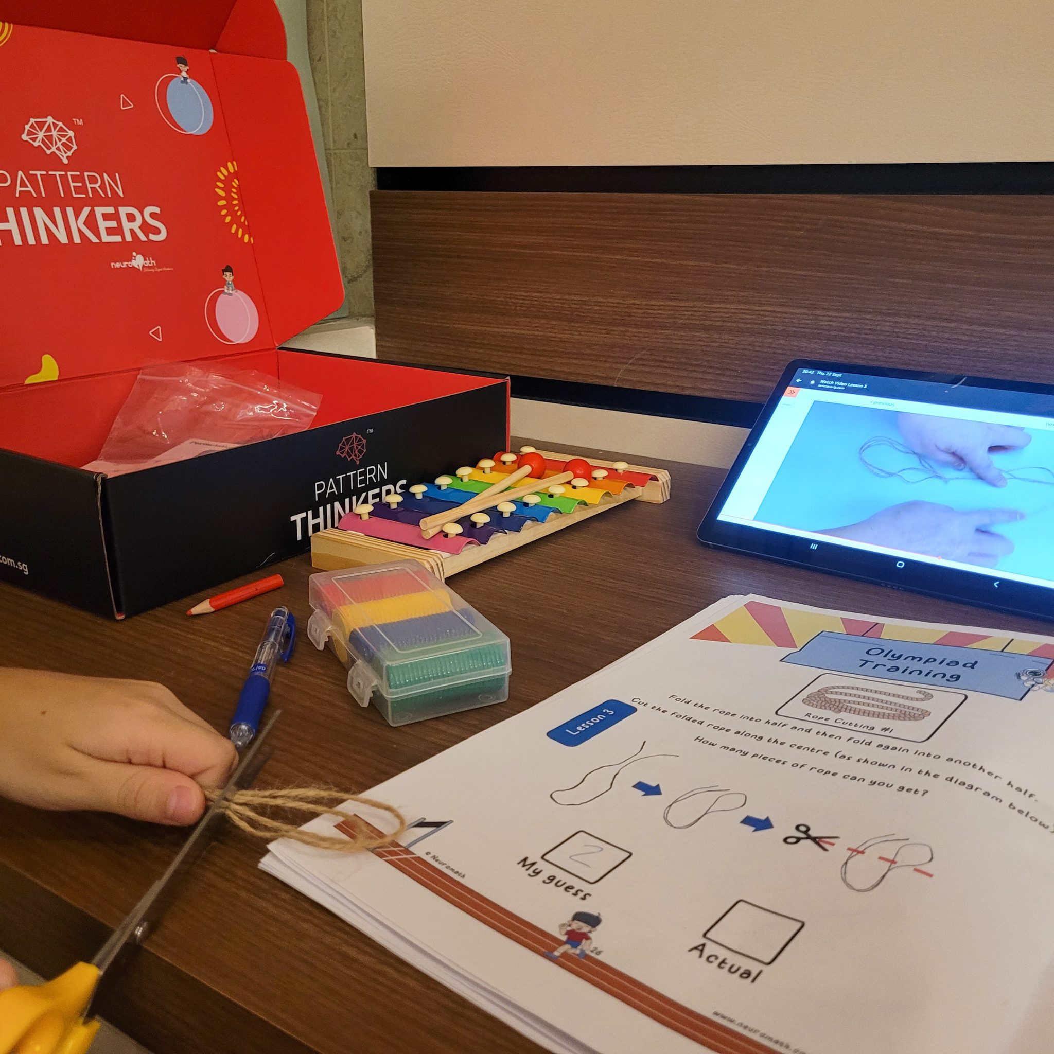 Neuromath – Review of Pattern Thinker Box 1 | My Preciouz Kids